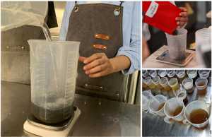 OEM Tea | Organic Tea Manufacturer | Chinese Tea Factory | Wholesale Tea Supplier